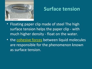 Water properties | PPT