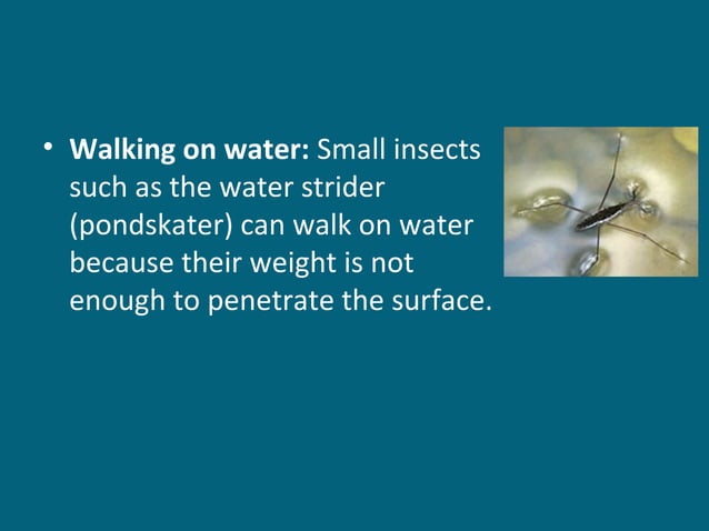 Water properties | PPT