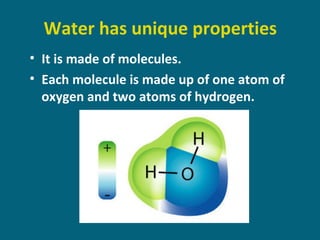 Water properties | PPT