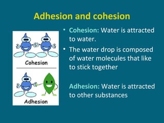 Water properties | PPT