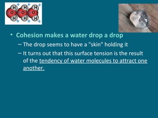 Water properties | PPT