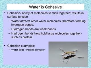 Water Properties | PPT