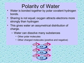 Water Properties | PPT