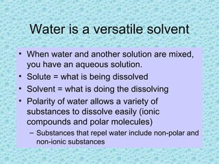 Water Properties | PPT