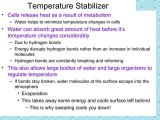Water Properties | PPT
