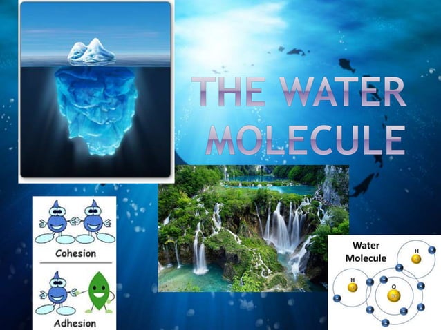 Water properties ppt | PPTX