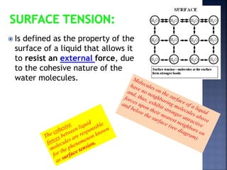 Water properties ppt | PPTX
