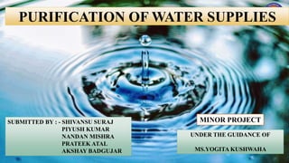 Waterpurificatin done by shivansu wtp | PPTX