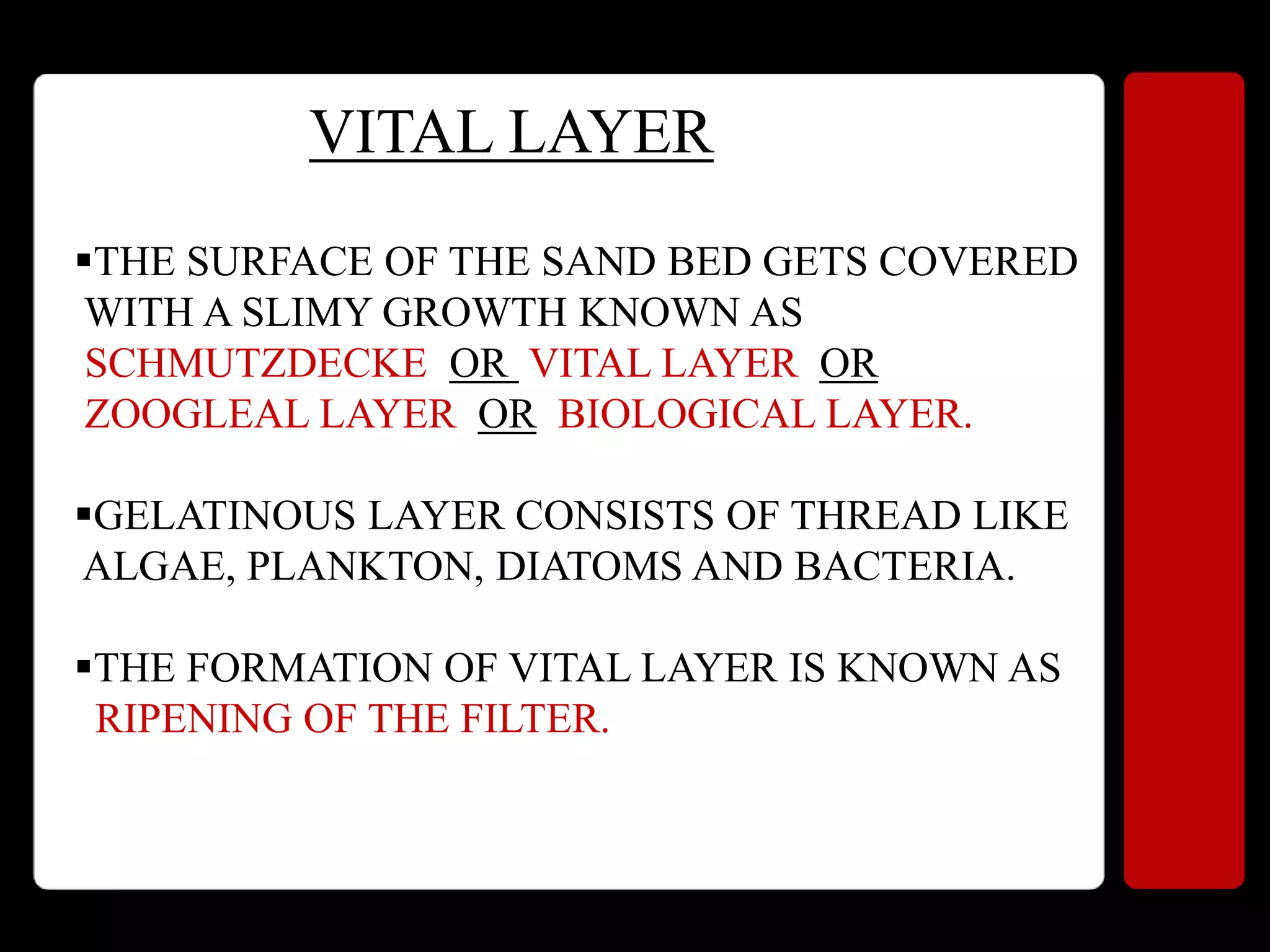 water purification.ppt