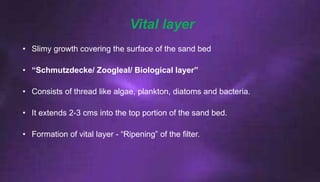 WATER PURIFICATION.pptx