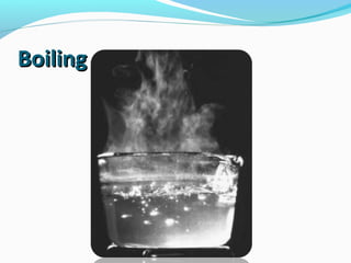 Water purification methods | PPT