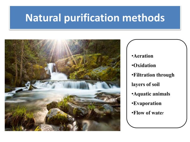 Water purification methods | PPTX