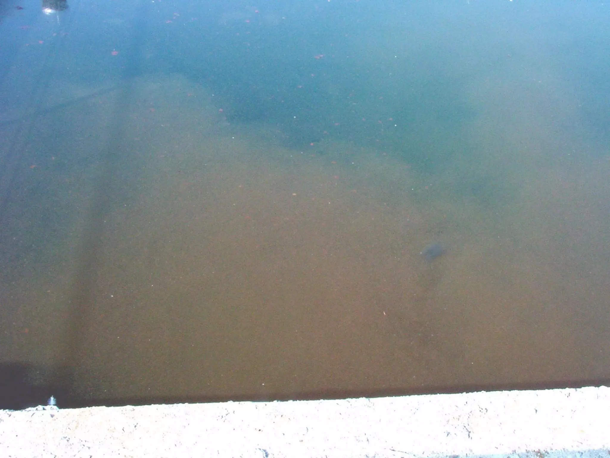 Water purification methods | PPT