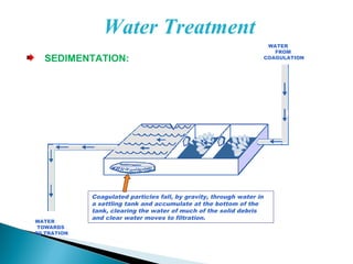 Water purification methods | PPT