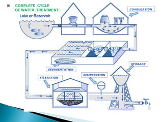 Water Filtration Diagram For Kids