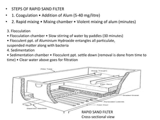 Environment and health | PPT