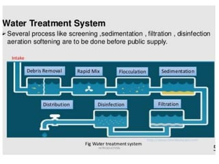 Water purification process | PPTX