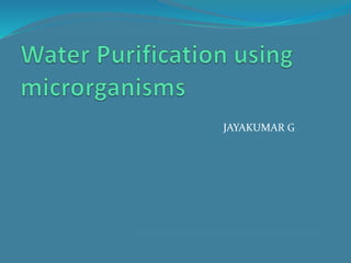 Water purification using micrbes | PPTX | Indoor Environmental Quality ...