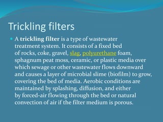 Water purification using micrbes | PPTX