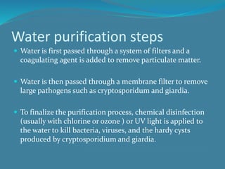 Water purification using micrbes | PPTX | Indoor Environmental Quality ...