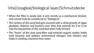 Water Purification and Standards for Drinking Water | PPT