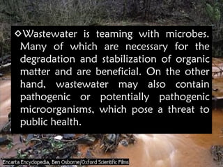 Water quality | PPT