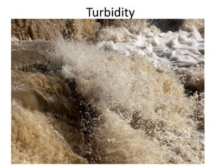 Water quality | PPTX