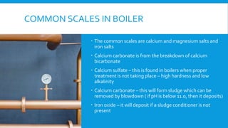 Water Quality.pptx | Chemistry | Science