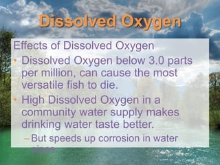 Water Quality Indicators and properties.pptx