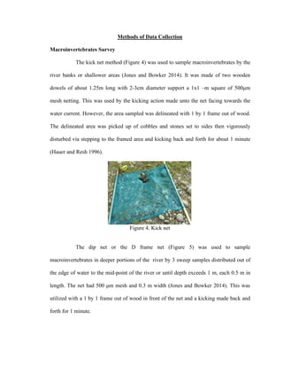 PUGA-AN RIVER WATER QUALITY ASSESSMENT USING MACROINVERTEBRATES AND ...