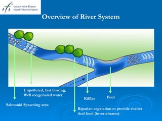 Water quality & fisheries | PPT