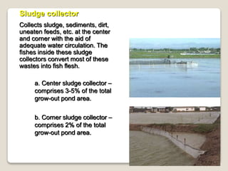 Water quality management | PPT