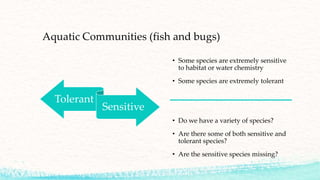 Water quality monitoring & rotating basin | PPTX