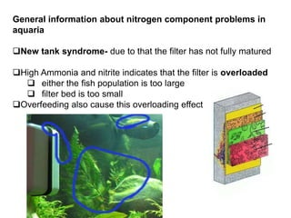 Water quality problems in Fishes-nitrogenous components and heavy ...