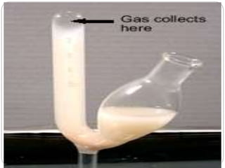 Water quality testing | PPTX