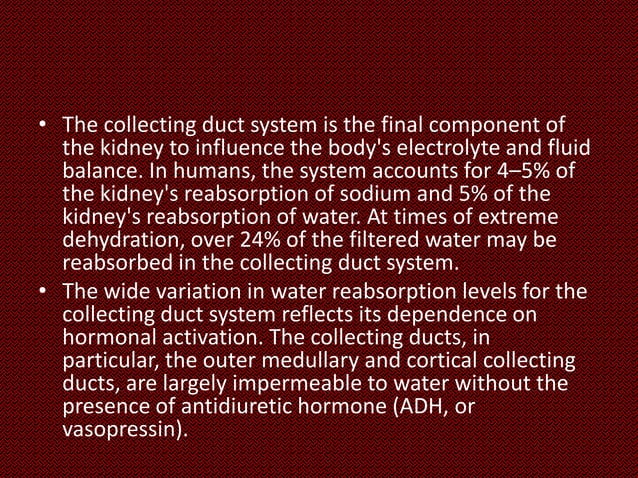 Water reabsorbtion | PPT