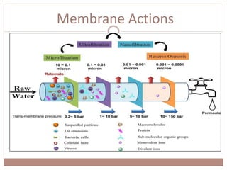Water recycling & membrane technology | PPTX