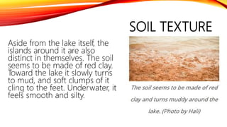 Case Study No. 2-Lumot lake in Laguna | PPTX