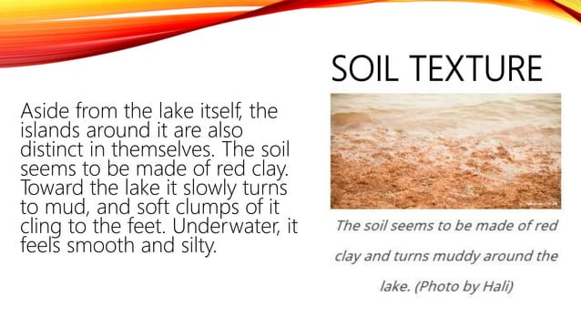 Case Study No. 2-Lumot lake in Laguna | PPTX | Geography | Science