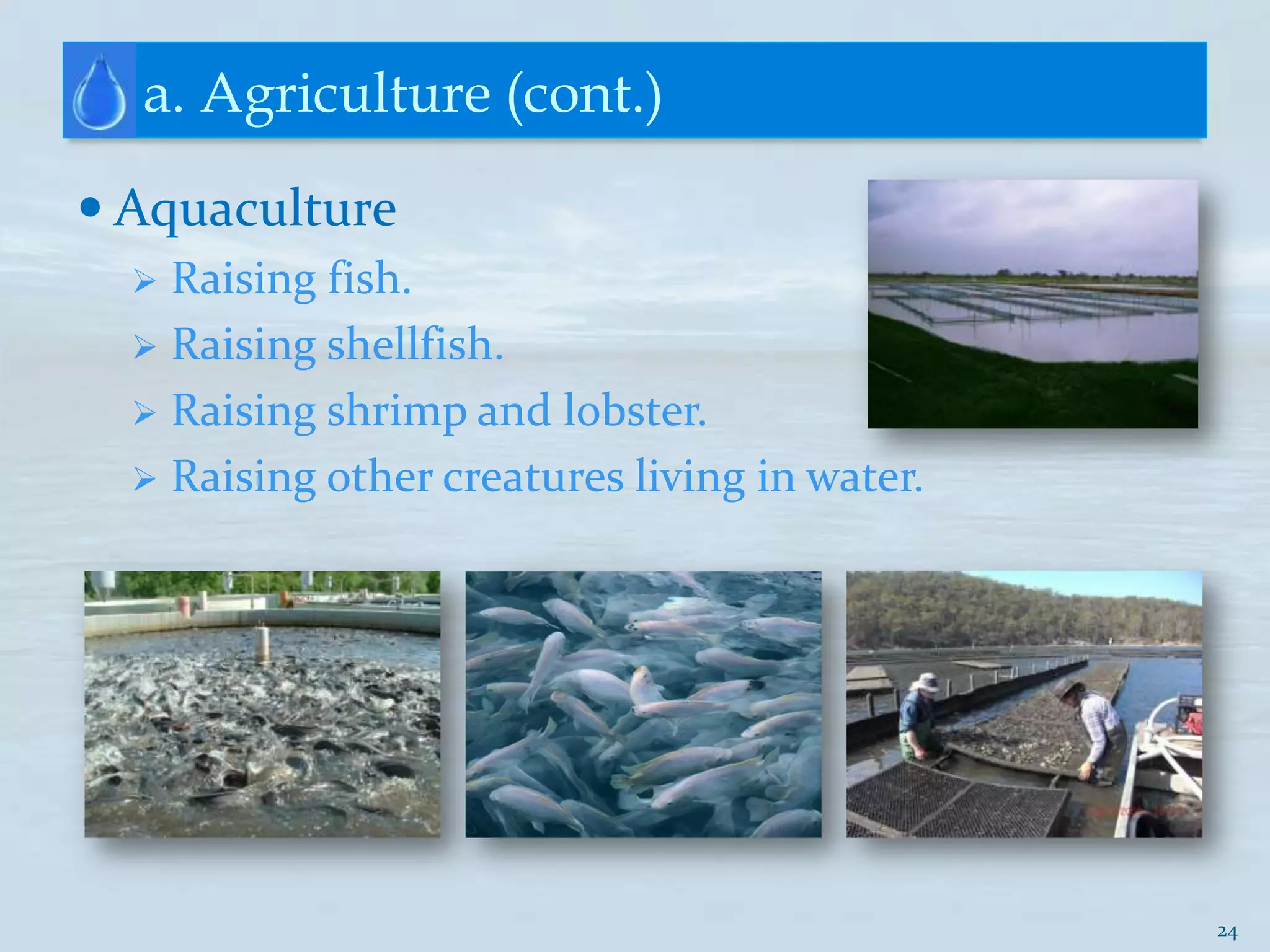 Water Resources | PPTX