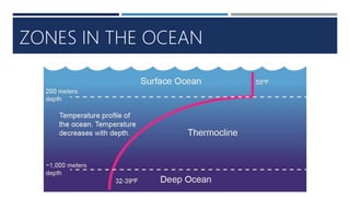 Water Resources | PPTX