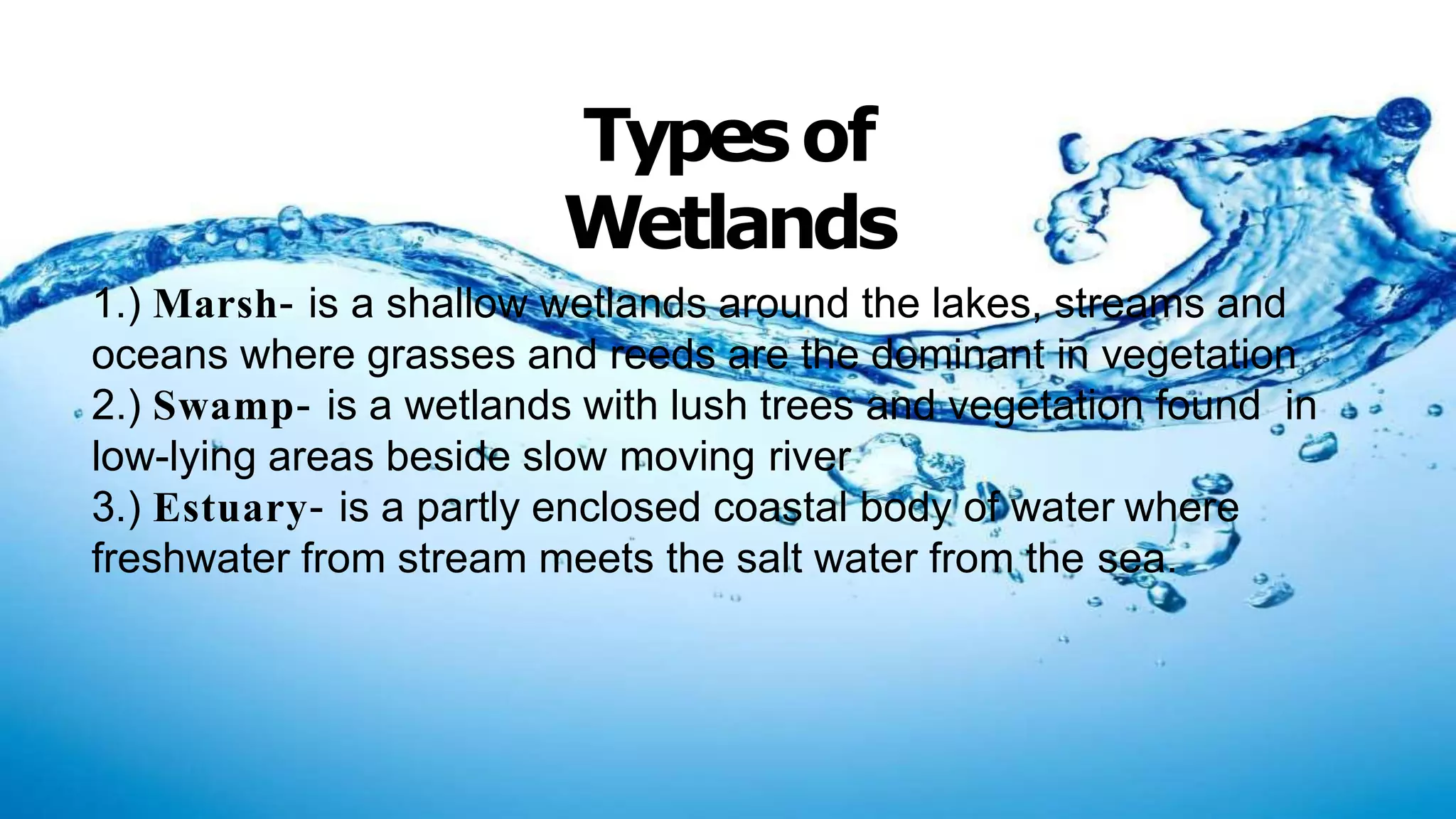 Water Resources.pptx