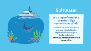 Water Resources. (1st Year B. Pharmacy, Sem-II, EVS Subject, Unit-I) | PPTX