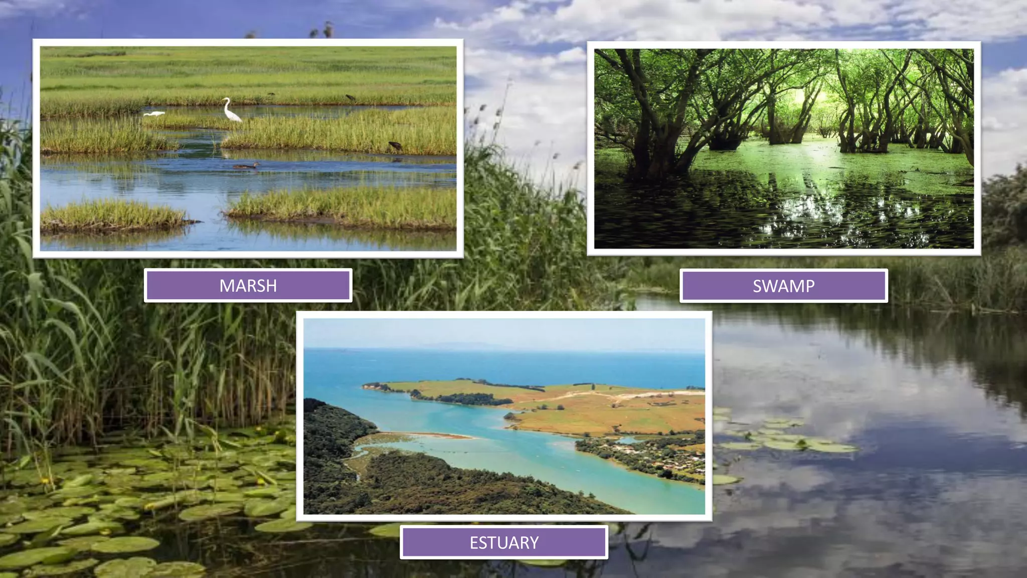 grade 11 chapter 4 module Earth Science: Water Resources | PDF