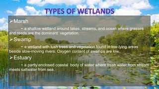 grade 11 chapter 4 module Earth Science: Water Resources | PDF