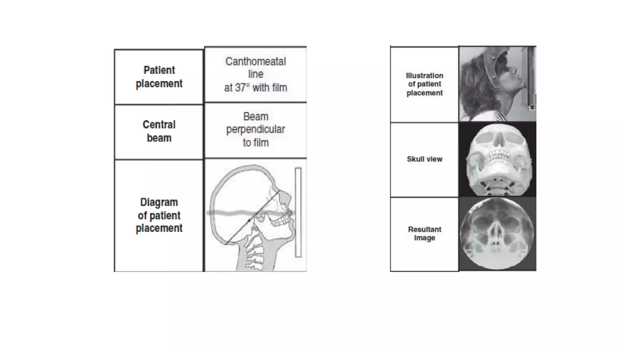 Waters projection | PPTX