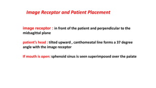 Waters projection | PPTX