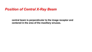 Waters projection | PPTX