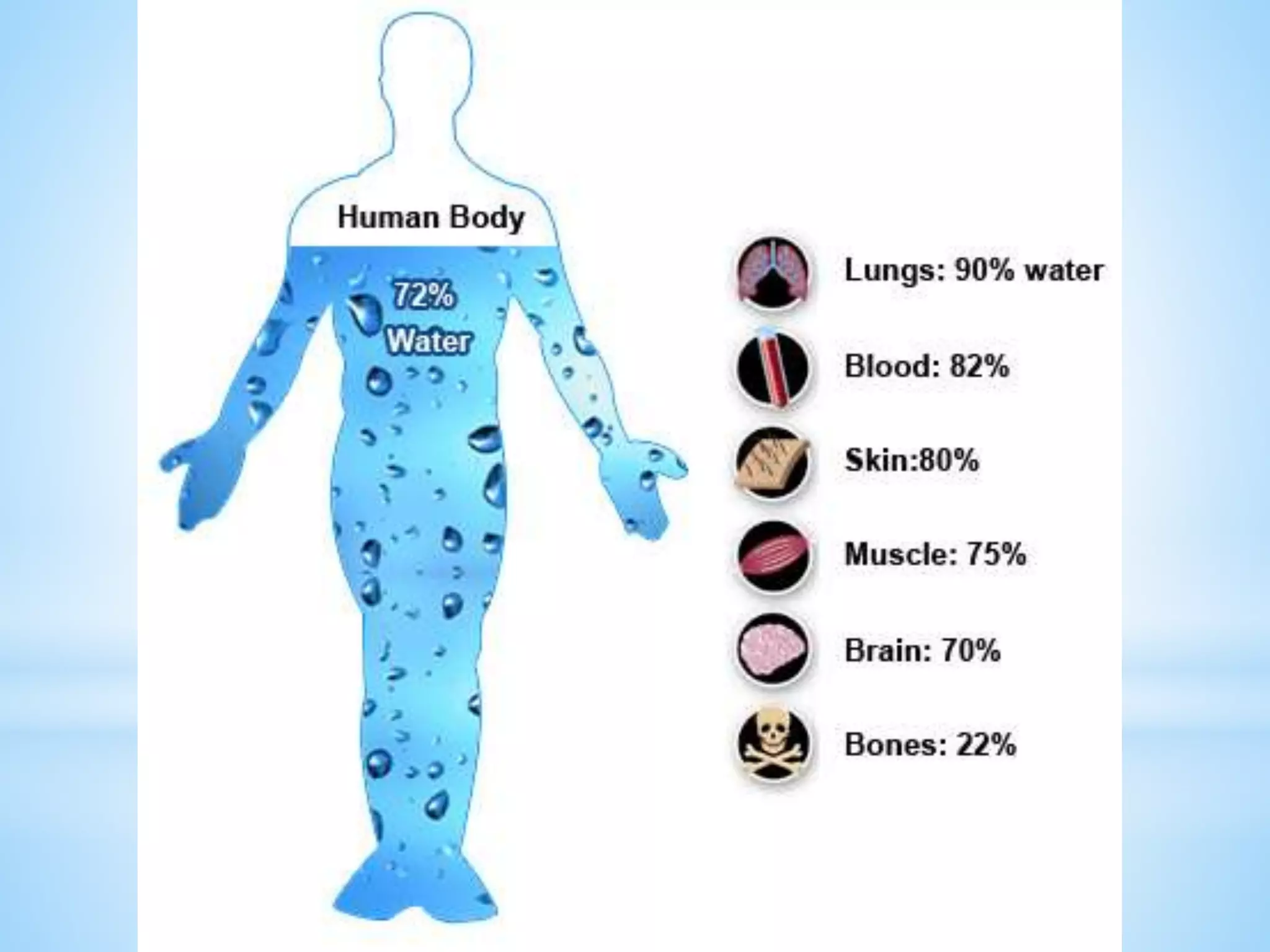 Water sanitation | PPTX
