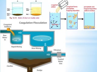 Water sanitation | PPTX